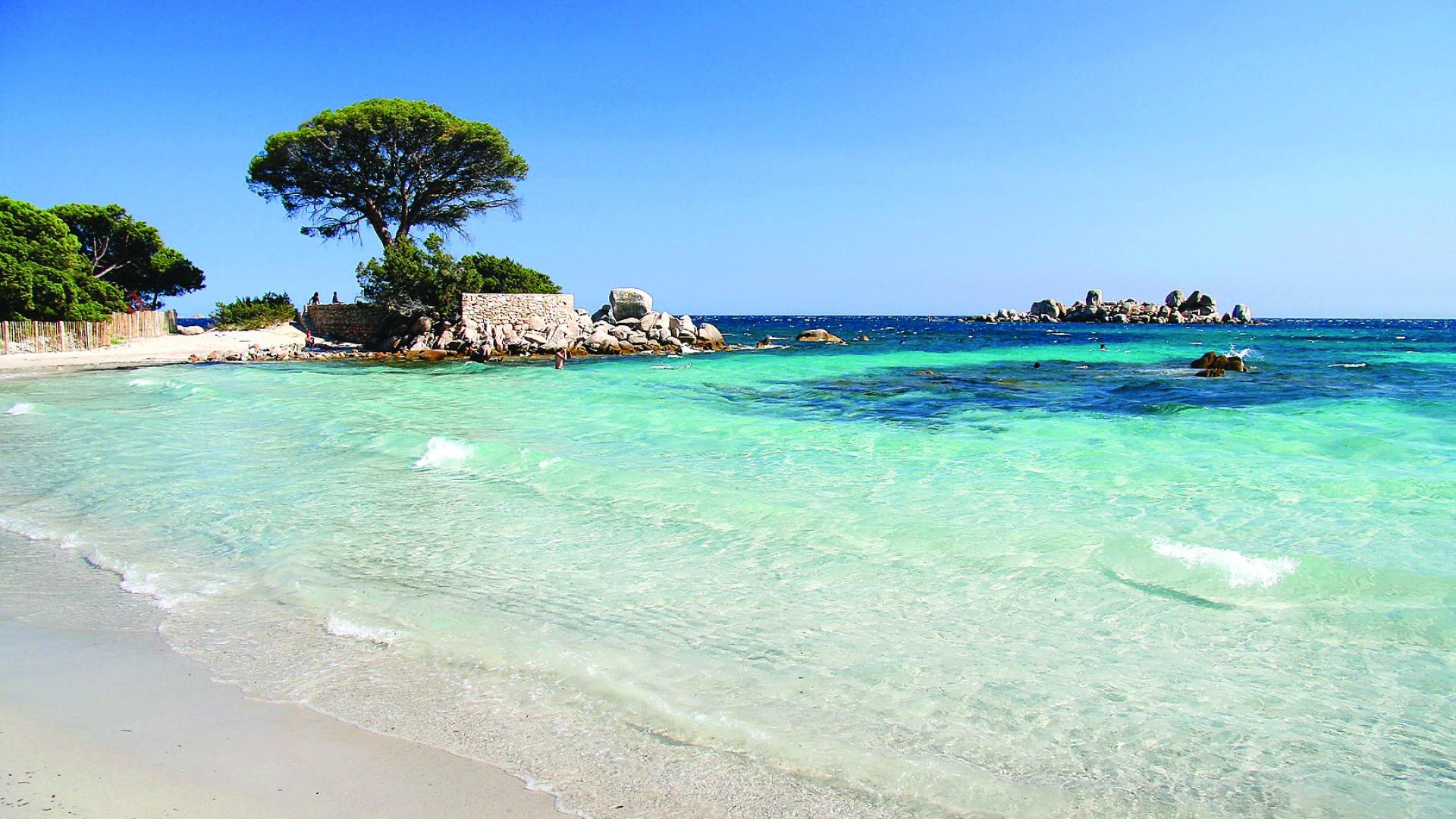 Découvrez les plus belles plages de Corse : des paysages incroyables et ...